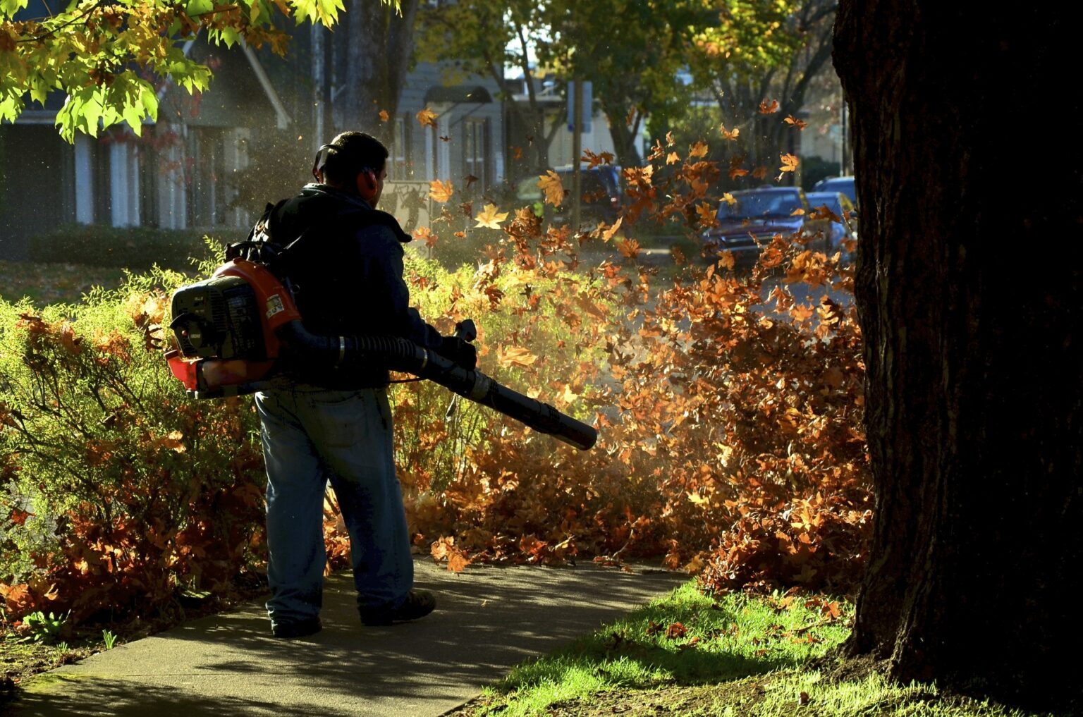 POEMS – Jaya Savige